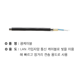 [3사] 광케이블 - 광케이블 - 12C 싱글모드(SM)